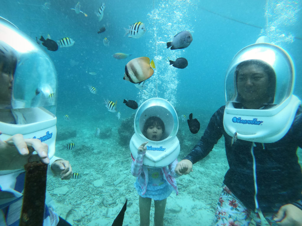 シーウォークならギリトラワンガン | 秘境の地 ロンボク島・バリ島 観光ツアーガイド｜KUBA JAPAN