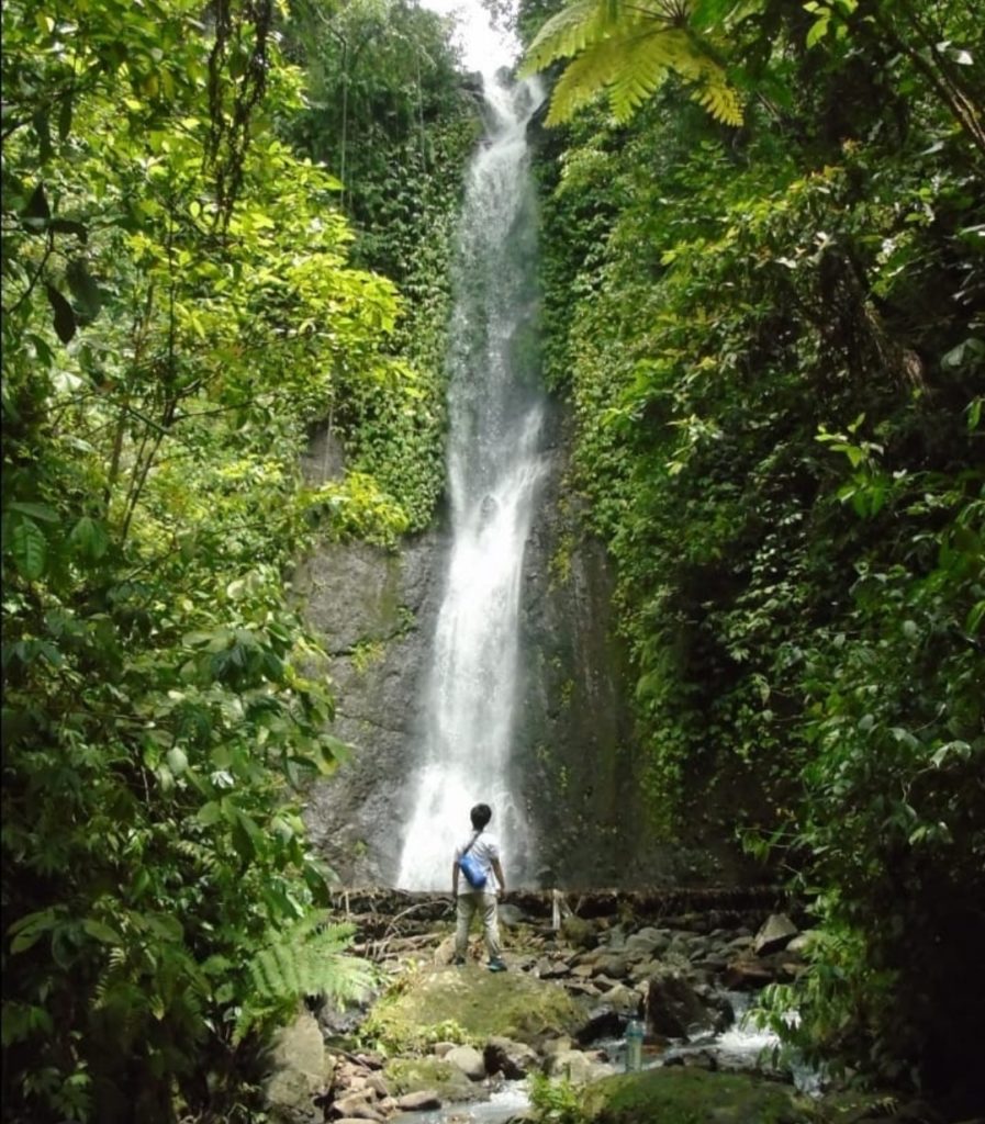 自然溢れる島を | 秘境の地 ロンボク島・バリ島 観光ツアーガイド｜KUBA JAPAN